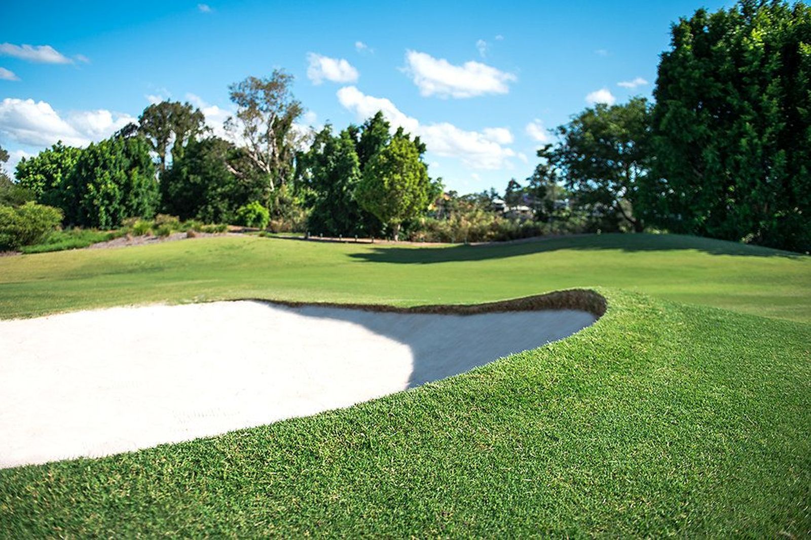 photo-10copy - Indooroopilly Golf ClubIndooroopilly Golf Club